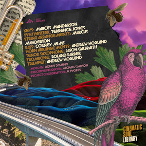 Cinematic Soul Library Vol. 2